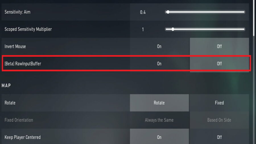 What is Raw Input Buffer in Valorant? - Pro Game Guides
