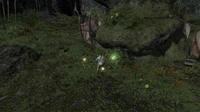How to get Noble Grapes in Final Fantasy XIV - Gathering, crafting ...
