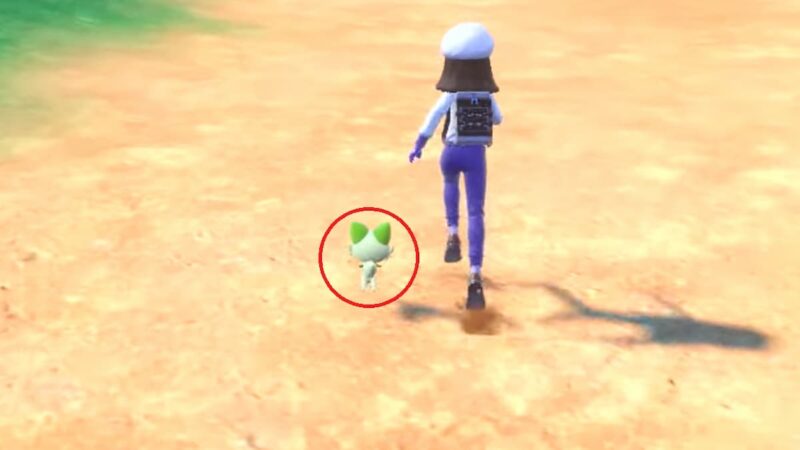 Can Pokémon walk behind you in Pokémon Scarlet and Violet? - Pro Game ...