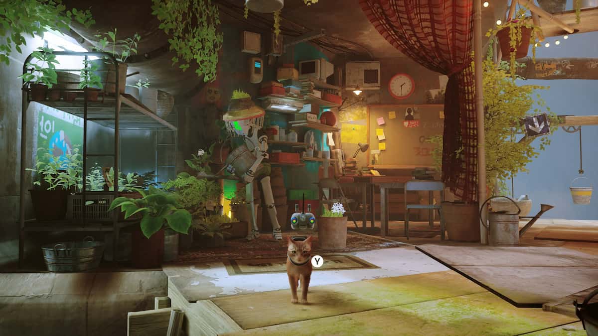 All plant locations in Antvillage in Stray | Pro Game Guides