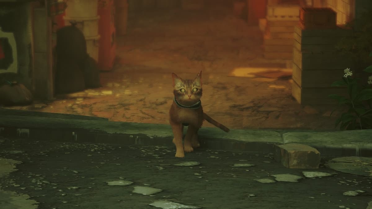 How to Collect All Badges in Stray – All Badge Locations | Pro Game Guides