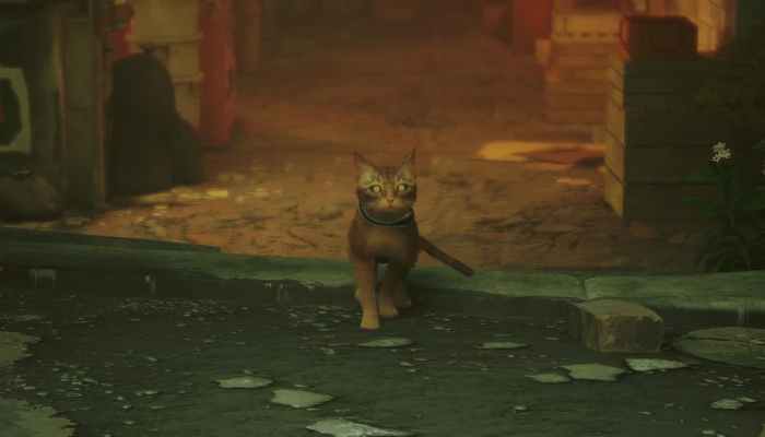 How to Get the PEAK 24 Karat Badge and Bing Bong Badge | Pro Game Guides