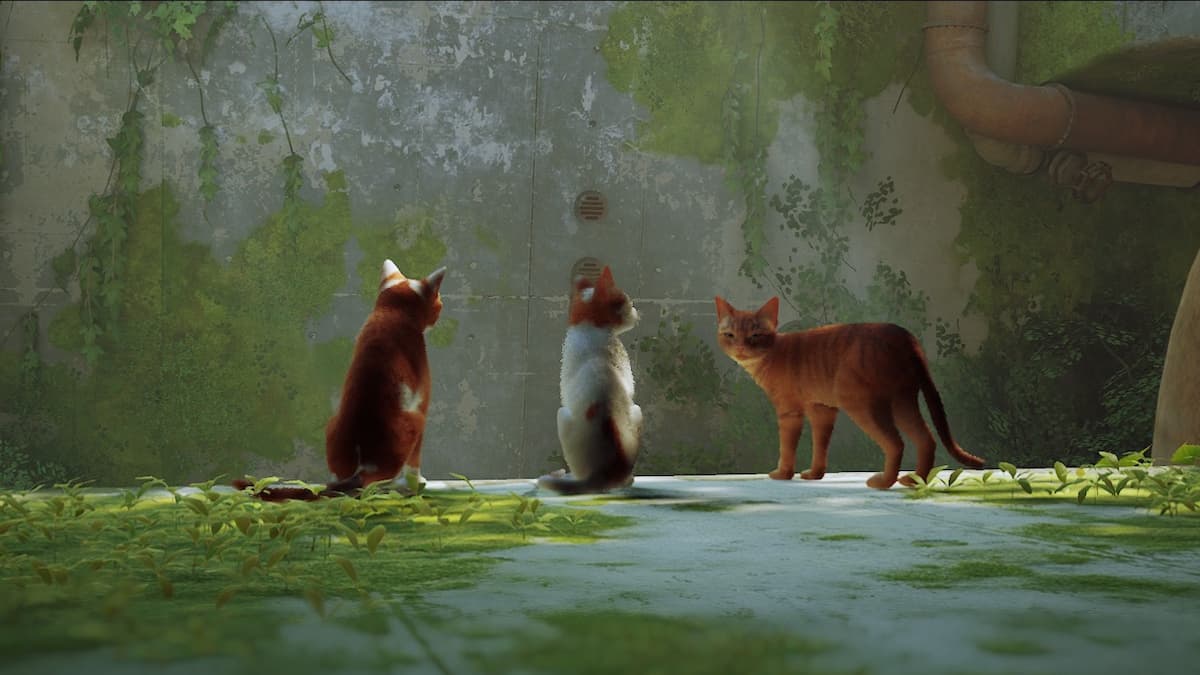 Can you return to the Slums in Stray? | Pro Game Guides