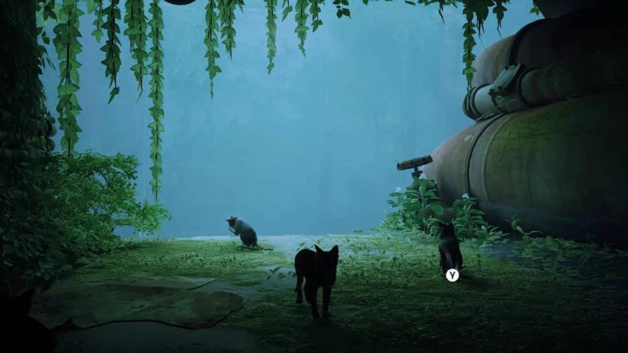 Best mods for Stray - Pro Game Guides