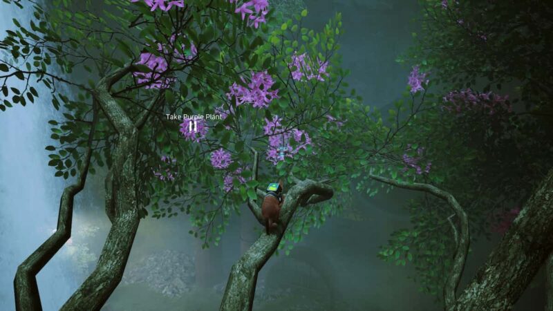 All plant locations in Antvillage in Stray - Pro Game Guides