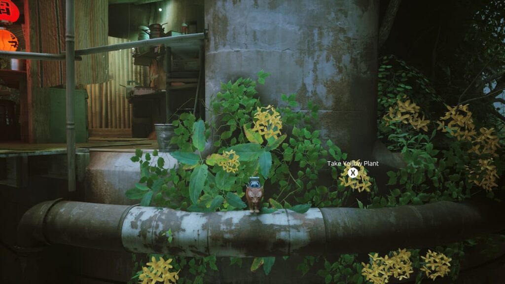 All plant locations in Antvillage in Stray - Pro Game Guides
