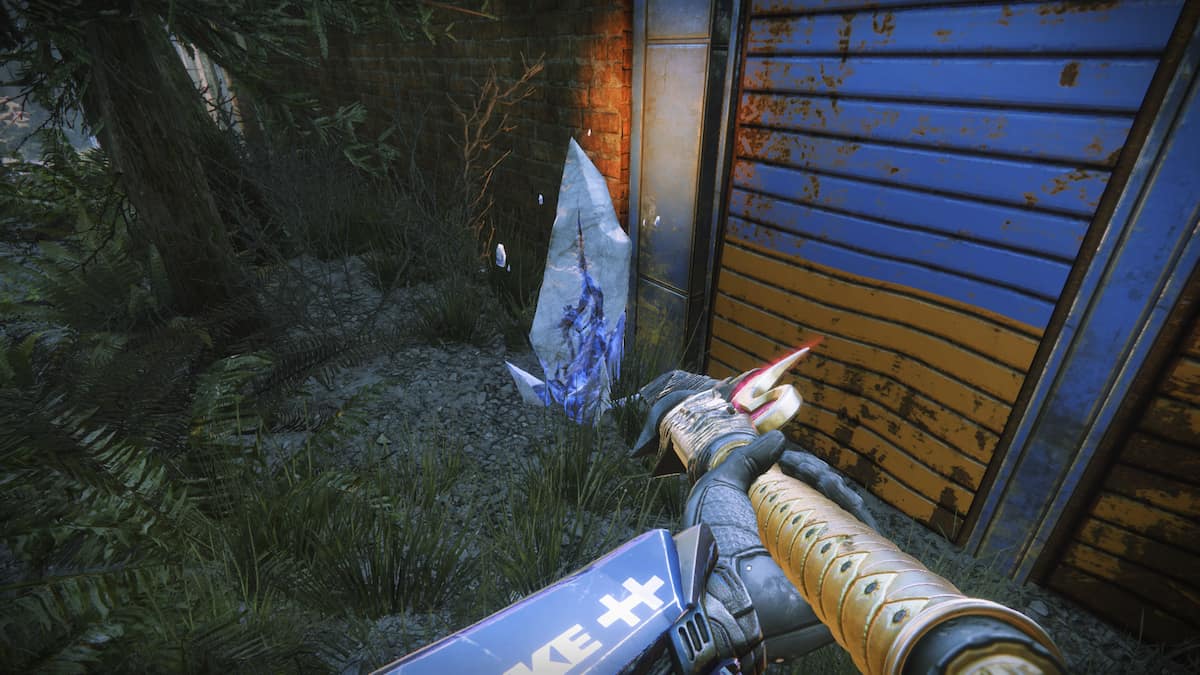 How to get Dusklight Shards in Destiny 2 | Pro Game Guides