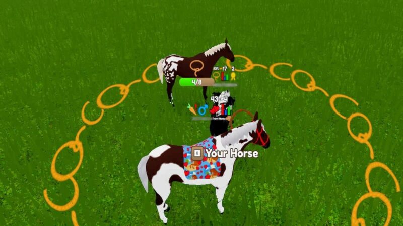 All horses in Roblox Wild Horse Islands and how to get - Pro Game Guides