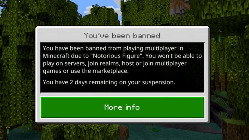 Minecraft's Chat Reporting Tool signals a return to the "bad old days ...
