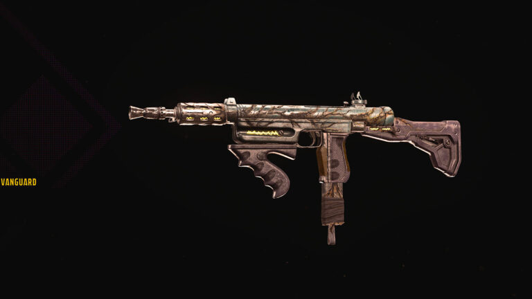 Best RA 225 Loadout and Class in Call of Duty Warzone - Pro Game Guides