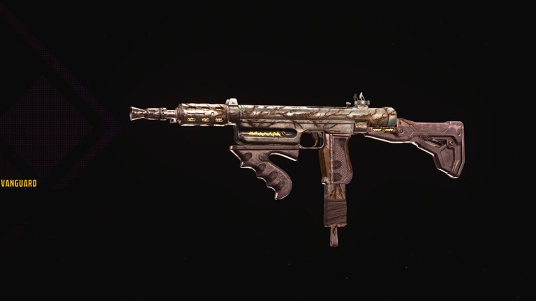 Best RA 225 Loadout and Class in Call of Duty Warzone | Pro Game Guides