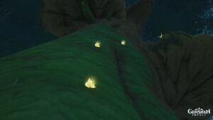 What are the glowing flowers on cliffsides in Sumeru in Genshin Impact ...