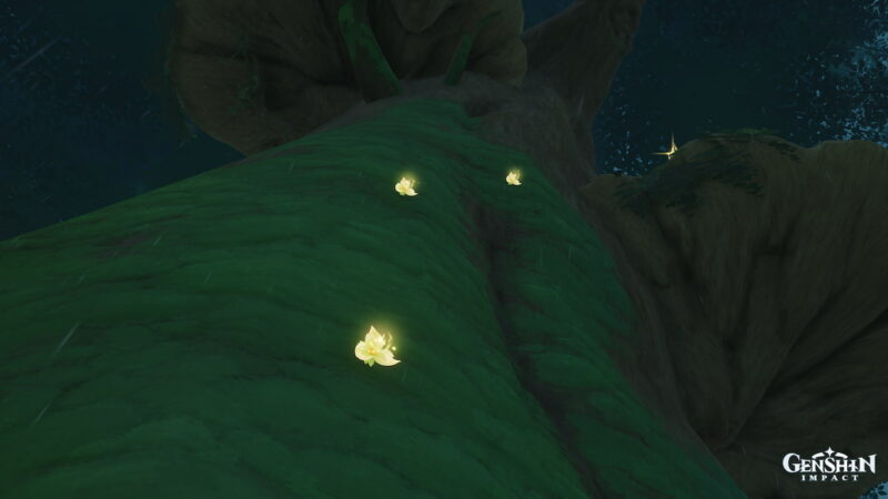 What are the glowing flowers on cliffsides in Sumeru in Genshin Impact ...