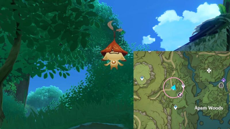How to get shriveled Starshroom in Genshin Impact - Pro Game Guides