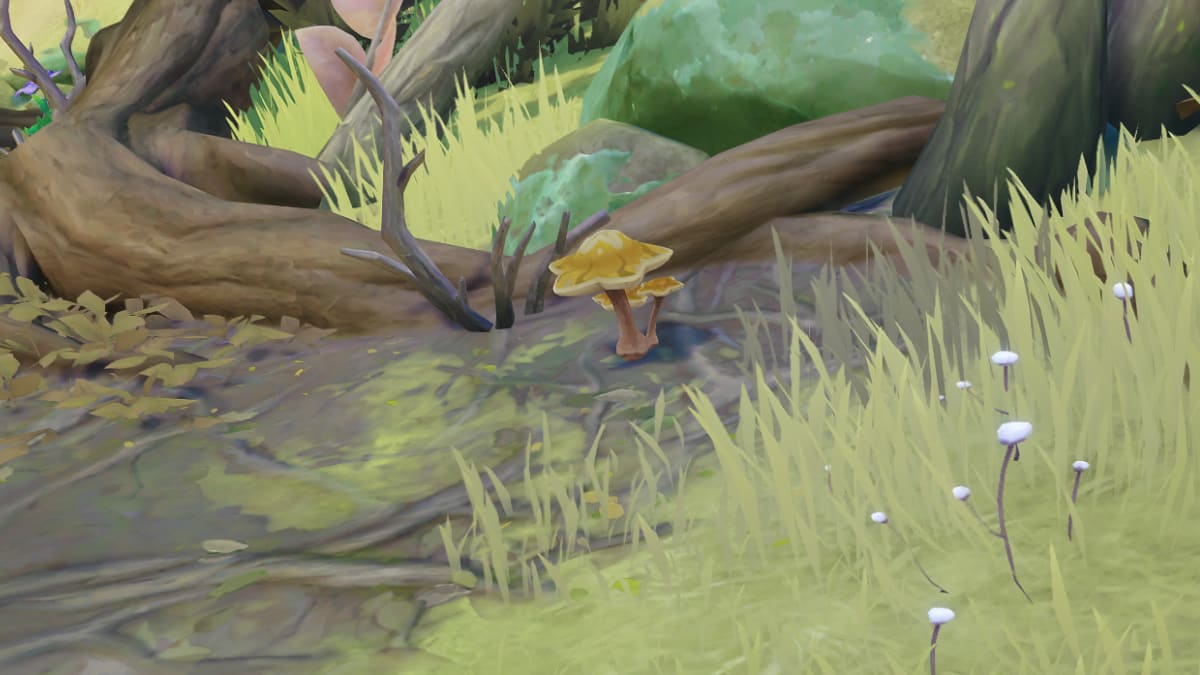 How to get shriveled Starshroom in Genshin Impact | Pro Game Guides