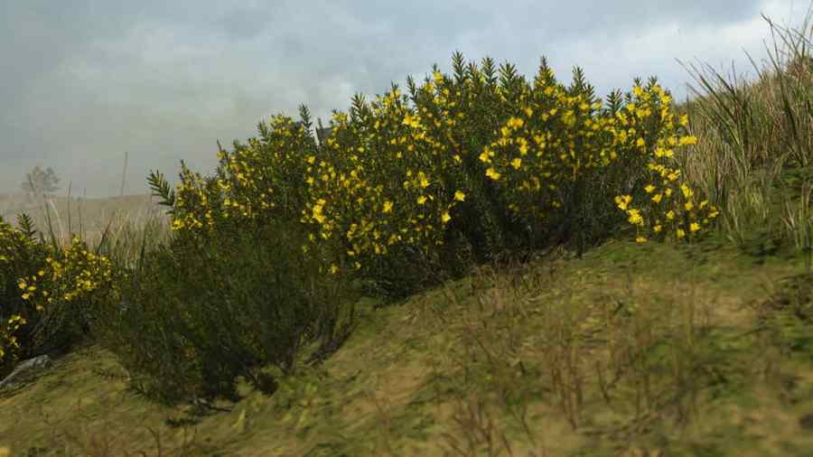 How to avoid the patrols in Recon By Fire - MW2 Campaign Guide | Pro ...