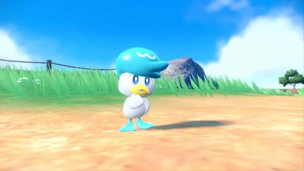 Best Nature for Quaxly, Quaxwell, and Quaquaval Pokémon Scarlet & Violet