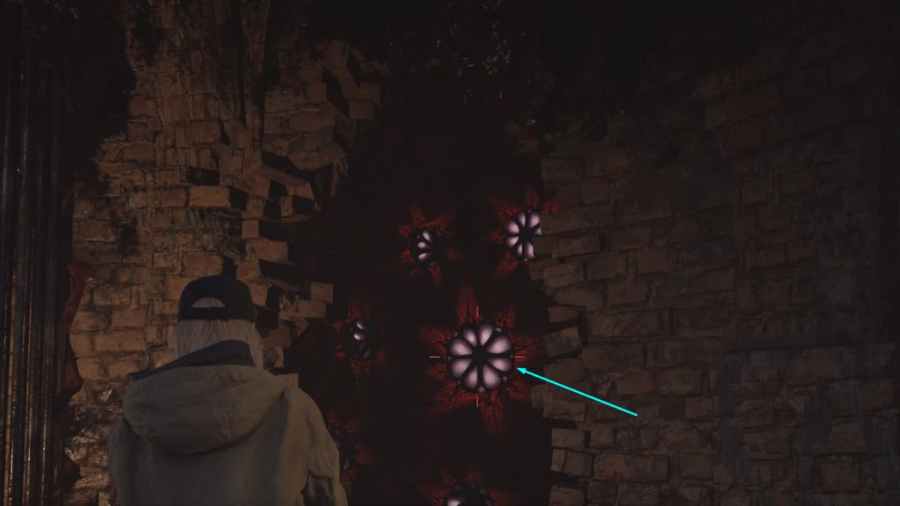 Resident Evil Shadows of Rose Fake Mold Core Puzzle Solution | Pro Game ...