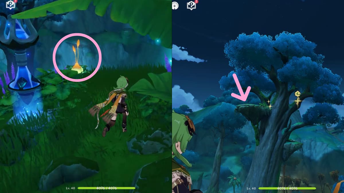 How to solve the Apam Woods Luxurious Chest rune puzzle in Genshin ...