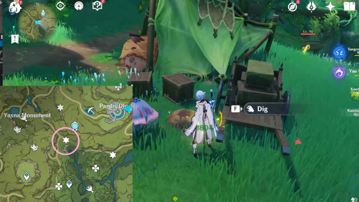 Where to find all one Mora Chests in Sumeru in Genshin Impact – Oh ...