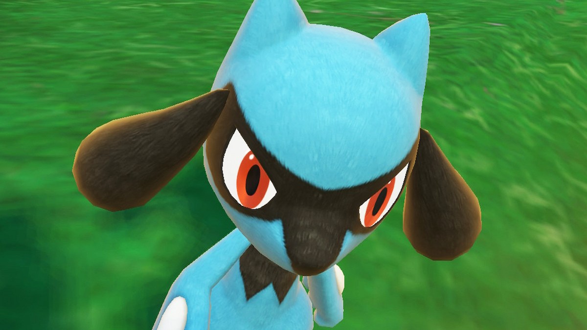 How to find and evolve Riolu into Lucario in Pokémon Scarlet & Violet ...