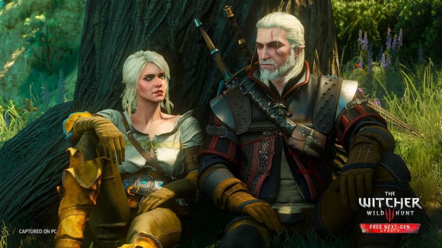 Witcher 3 Console Commands and Cheats | Pro Game Guides