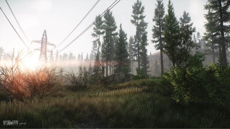 All Escape From Tarkov Extraction Points - Woods Map | Pro Game Guides