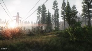 All Escape From Tarkov Extraction Points - Woods Map | Pro Game Guides
