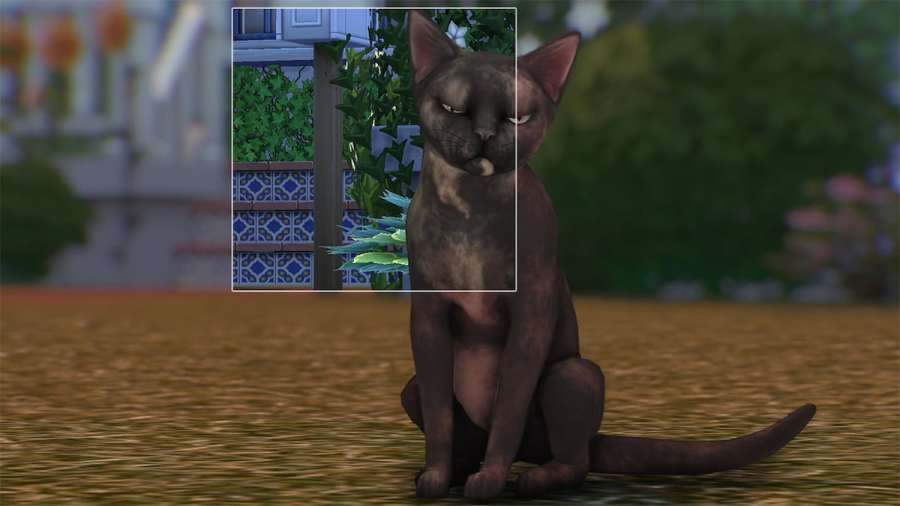 The Best Sims 4 Reshade Presets (2023) | Pro Game Guides