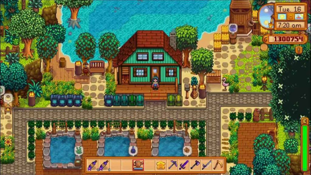 13 Best Stardew Valley Farm Layout Ideas
