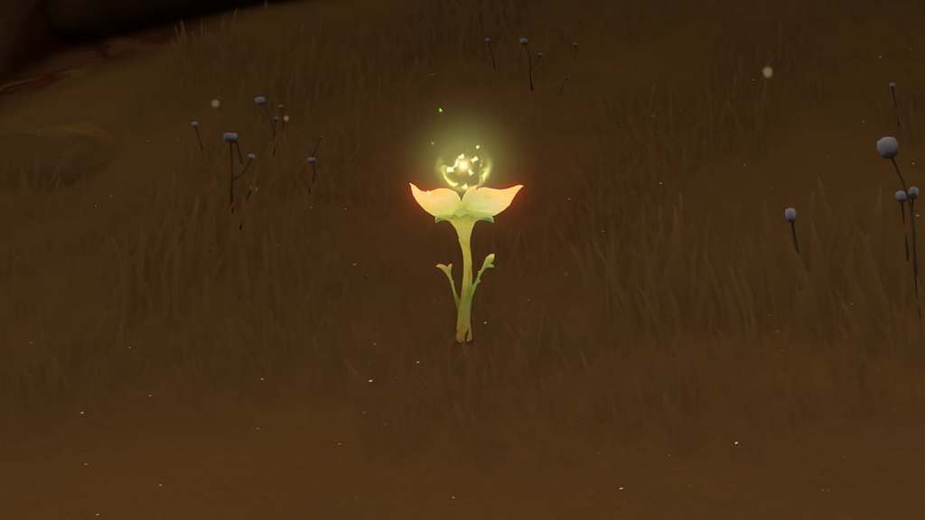 What are the golden glowing flowers in Sumeru caves in Genshin Impact ...