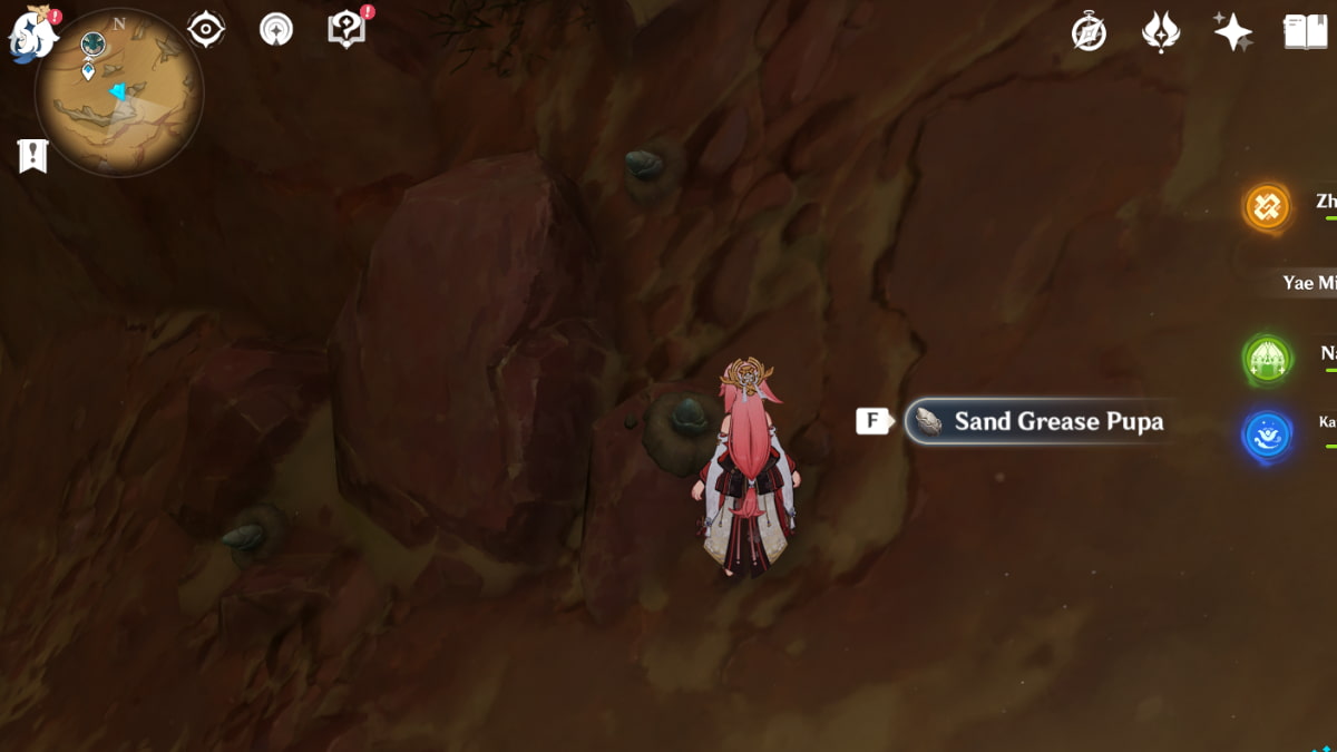 All Sand Grease Pupa Locations in Genshin Impact | Pro Game Guides