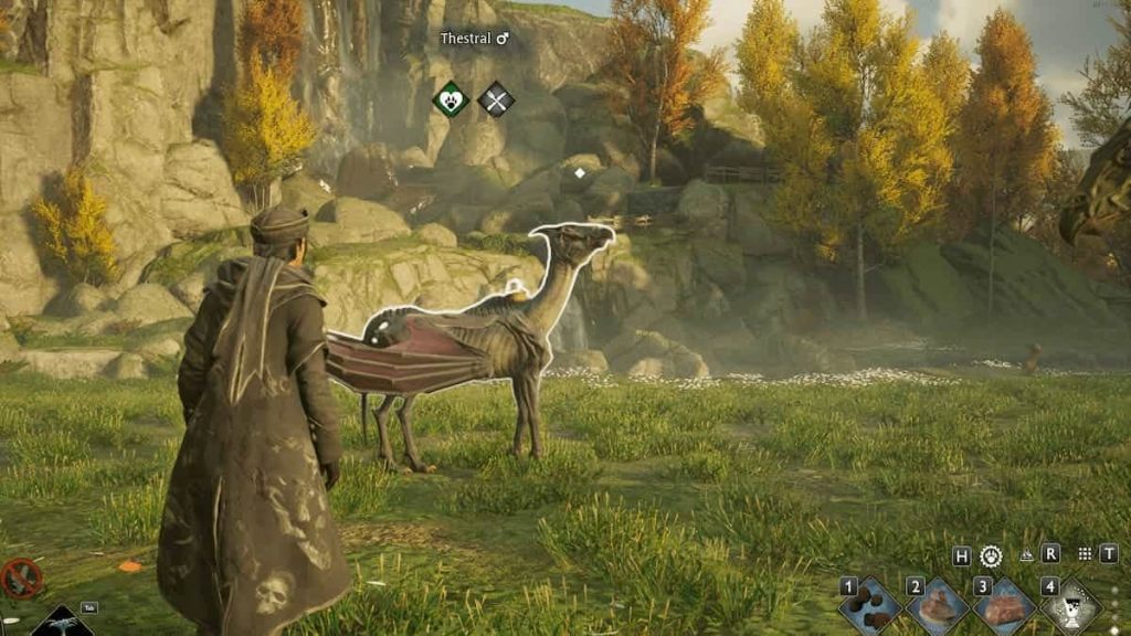 Where to get Thestrals and Thestral Hair in Hogwarts Legacy | Pro Game ...