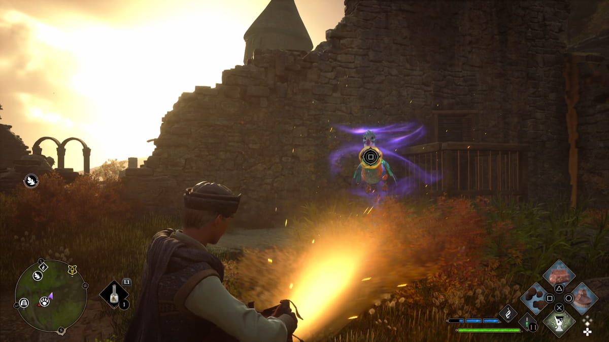 Hogwarts Legacy - How to catch Shiny Beasts (with a star/+ symbol ...