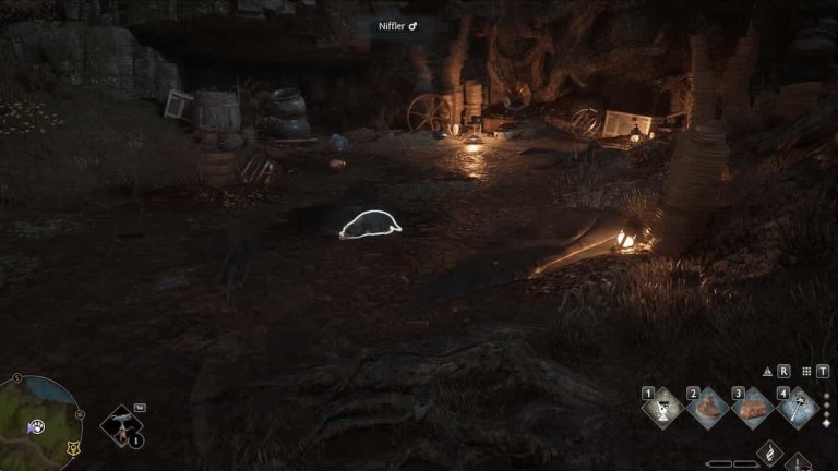 Where to get Nifflers and Niffler Fur in Hogwarts Legacy | Pro Game Guides