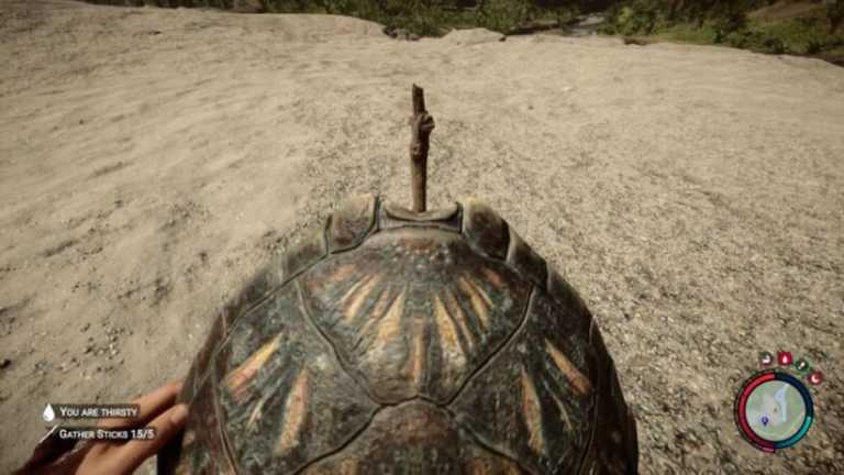 What is the Turtle Shell used in Sons of the Forest? | Pro Game Guides