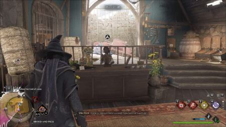 Where is Brood and Peck in Hogwarts Legacy | Pro Game Guides