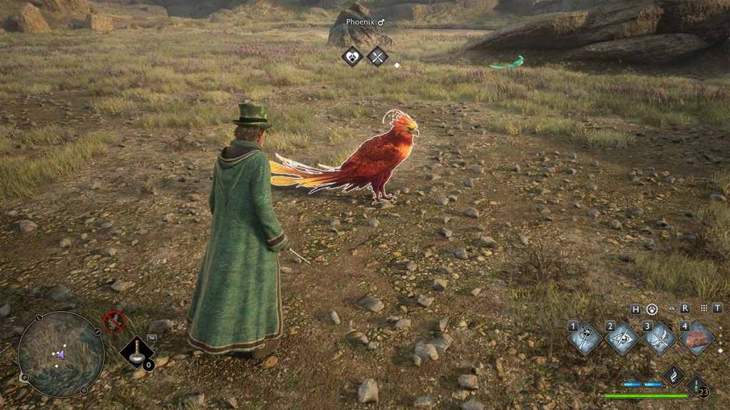 Can you breed Phoenix in Hogwarts Legacy? | Pro Game Guides