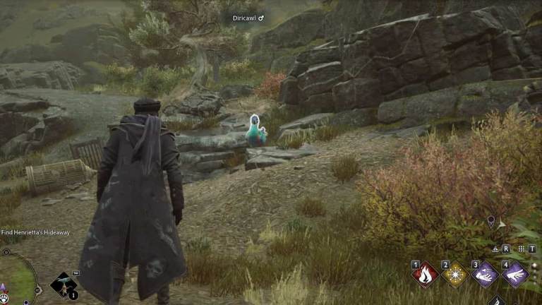 Where to find Diricawl Dens in Hogwarts Legacy | Pro Game Guides