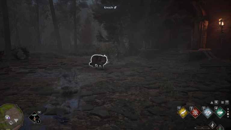 Where to find Kneazle Dens in Hogwarts Legacy | Pro Game Guides