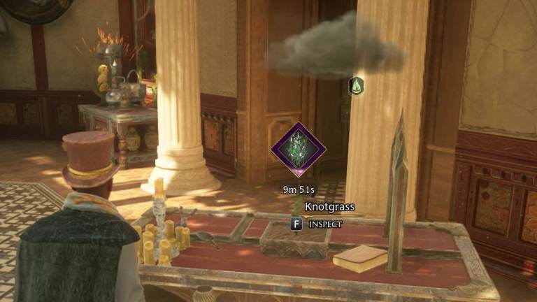 How to get Knotgrass Sprigs in Hogwarts Legacy | Pro Game Guides