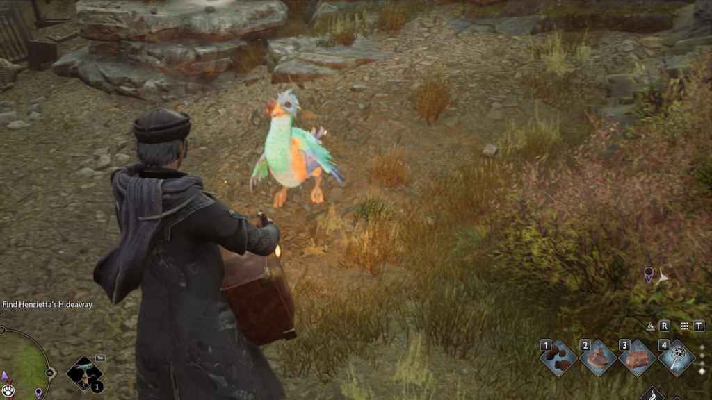 Where to find Diricawl Dens in Hogwarts Legacy | Pro Game Guides