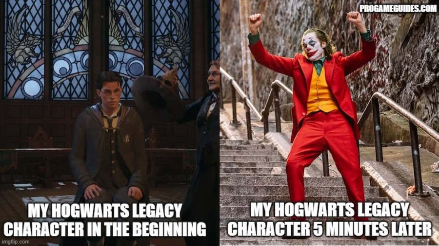 Best Hogwarts Legacy memes | Pro Game Guides