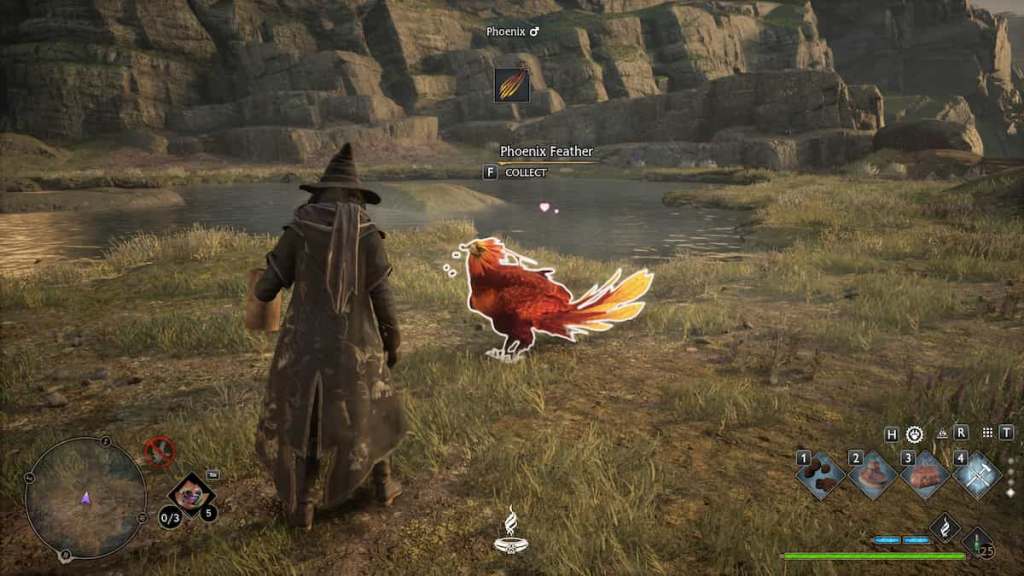 Where to find Phoenix Dens in Hogwarts Legacy – Phoenix Location | Pro Game Guides