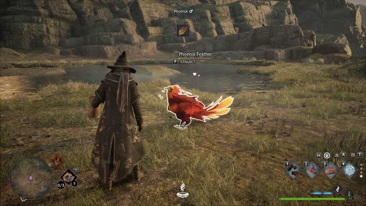 Where to find Phoenix Dens in Hogwarts Legacy – Phoenix Location | Pro ...