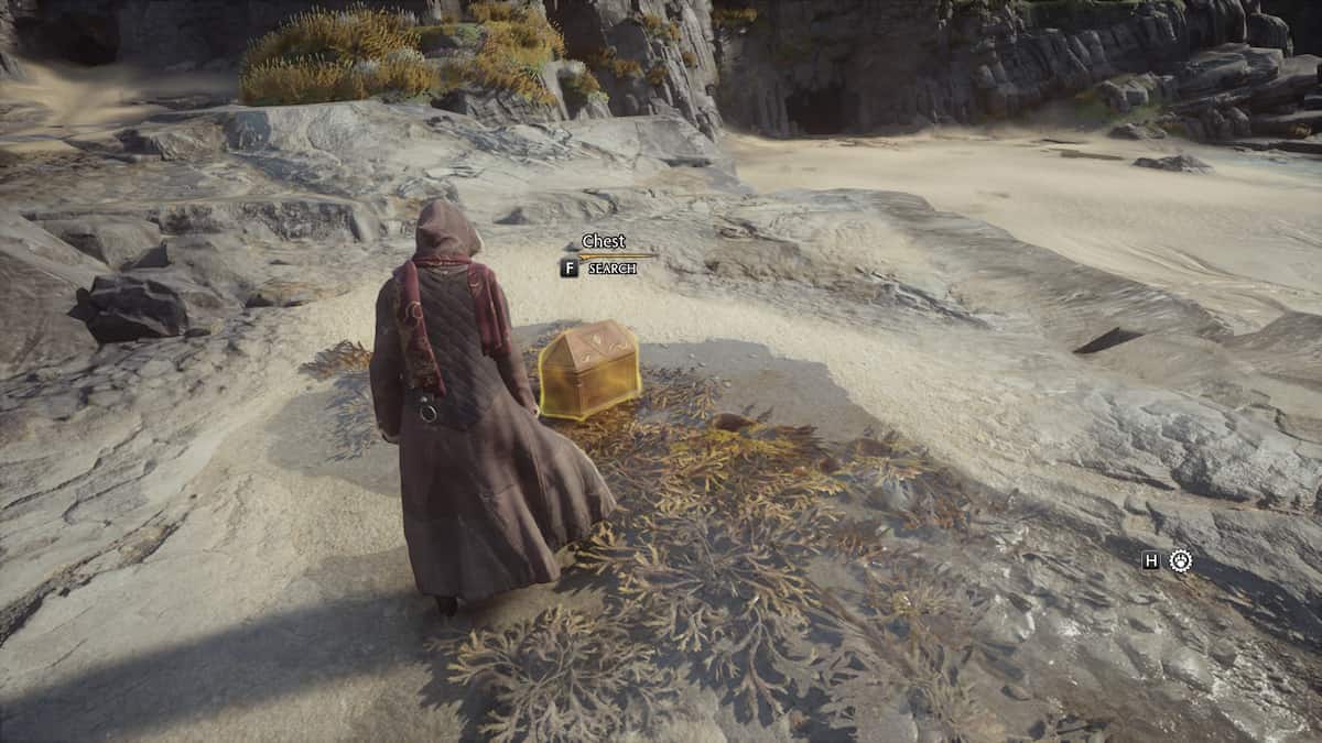 All Vivarium Collection Chest Locations in Hogwarts Legacy | Pro Game ...