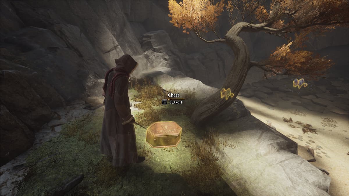 All Vivarium Collection Chest Locations in Hogwarts Legacy | Pro Game ...