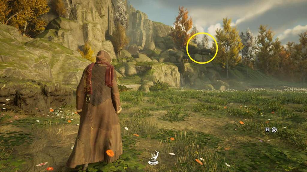 All Vivarium Collection Chest Locations in Hogwarts Legacy - Pro Game ...