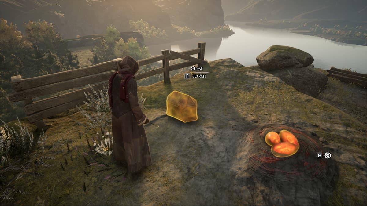 All Vivarium Collection Chest Locations in Hogwarts Legacy | Pro Game ...