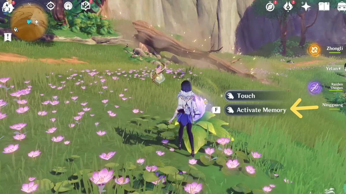 How to solve the Memories of the Eternal Oasis Embed puzzle in Genshin ...